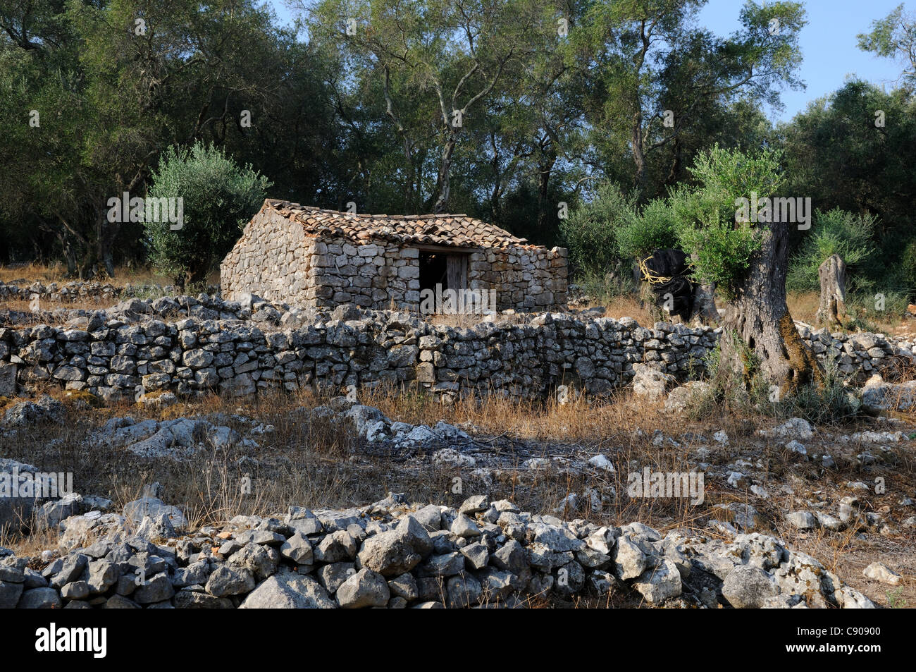 Old stone building and walls in an olive grove Lipades Village corfu ...