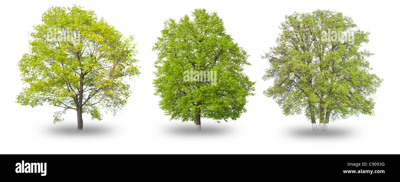 Shadow on white hi-res stock photography and images - Alamy