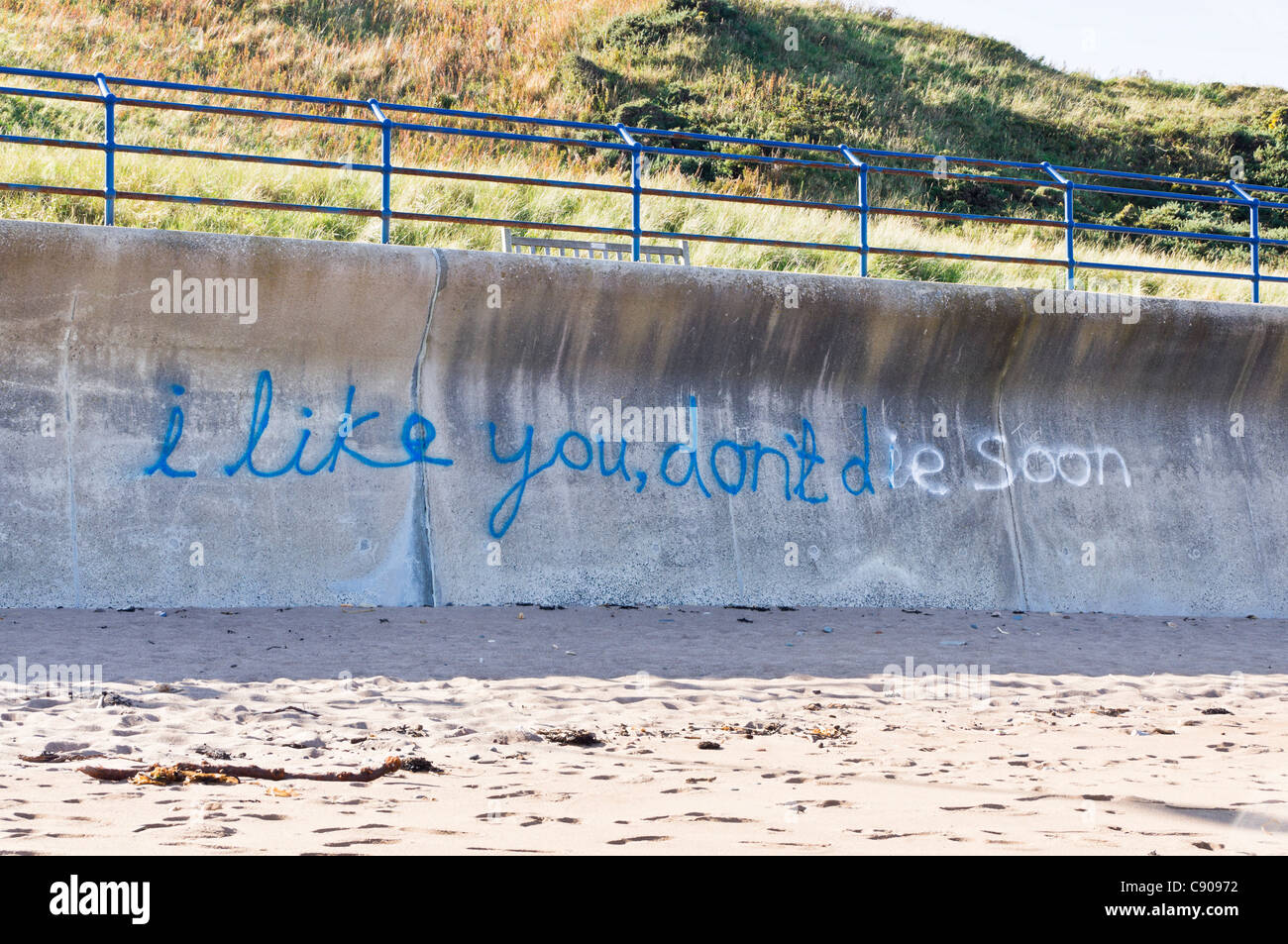 Northumberland - Spittal beach promenade graffiti - I like you don't ...