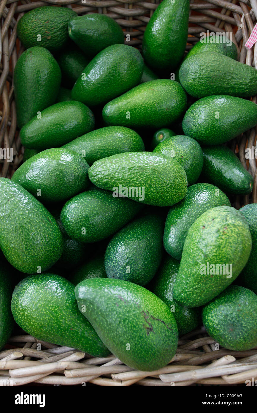 Pile of Avocado in Israel Stock Photo - Alamy