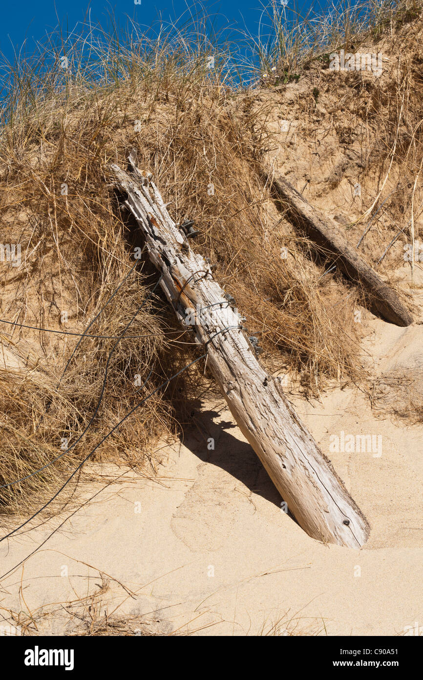 Landscape, Fence Posts, Desiccated, Sand dunes Stock Photo - Alamy