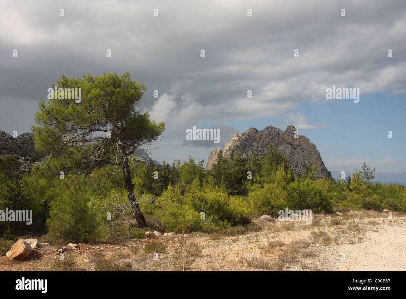 Finger like projections hi-res stock photography and images - Alamy