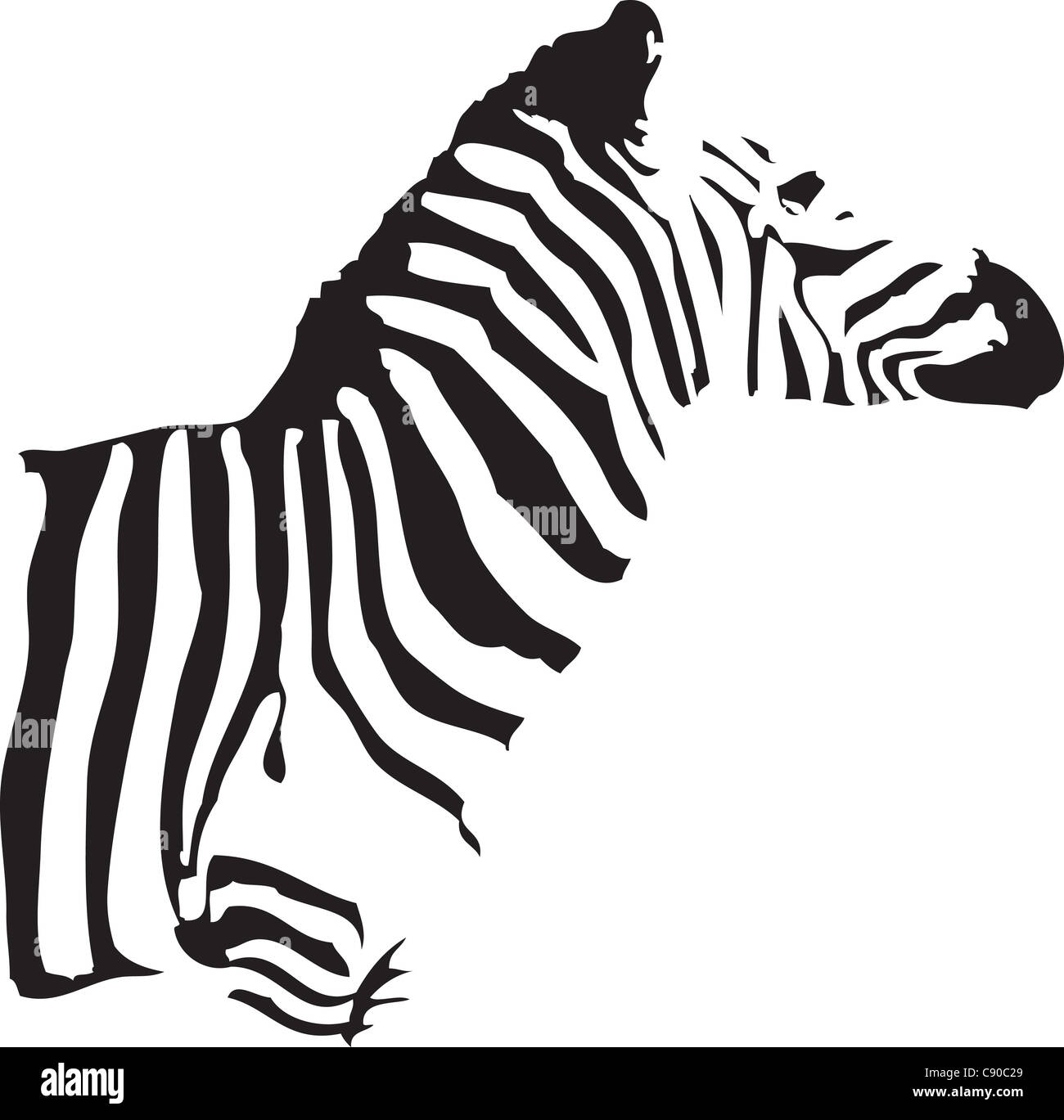 a silhouette of a half body of a zebra Stock Photo - Alamy