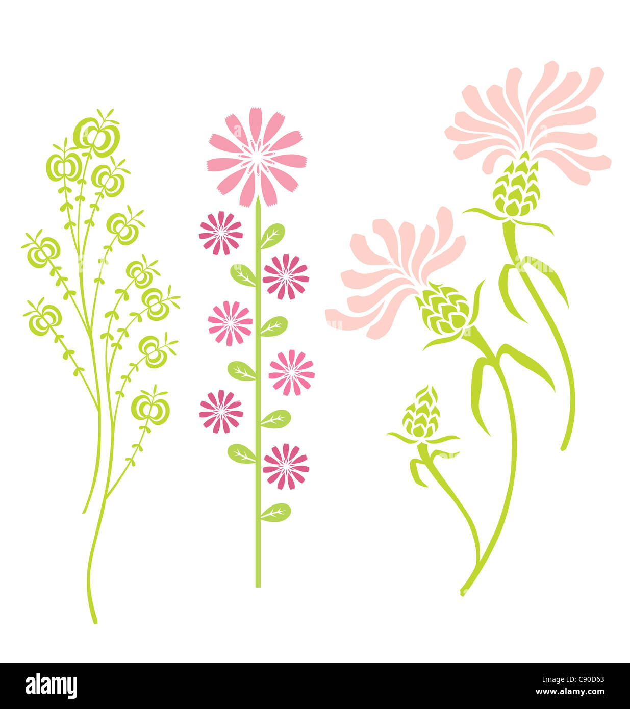 Variety of flora Cut Out Stock Images & Pictures - Alamy