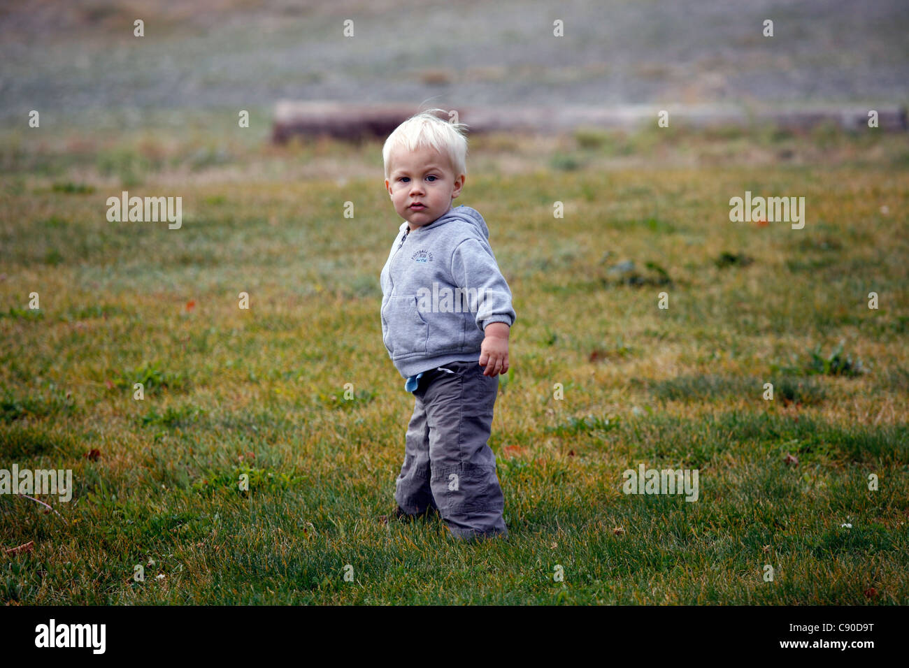 18 month old hi-res stock photography and images - Alamy