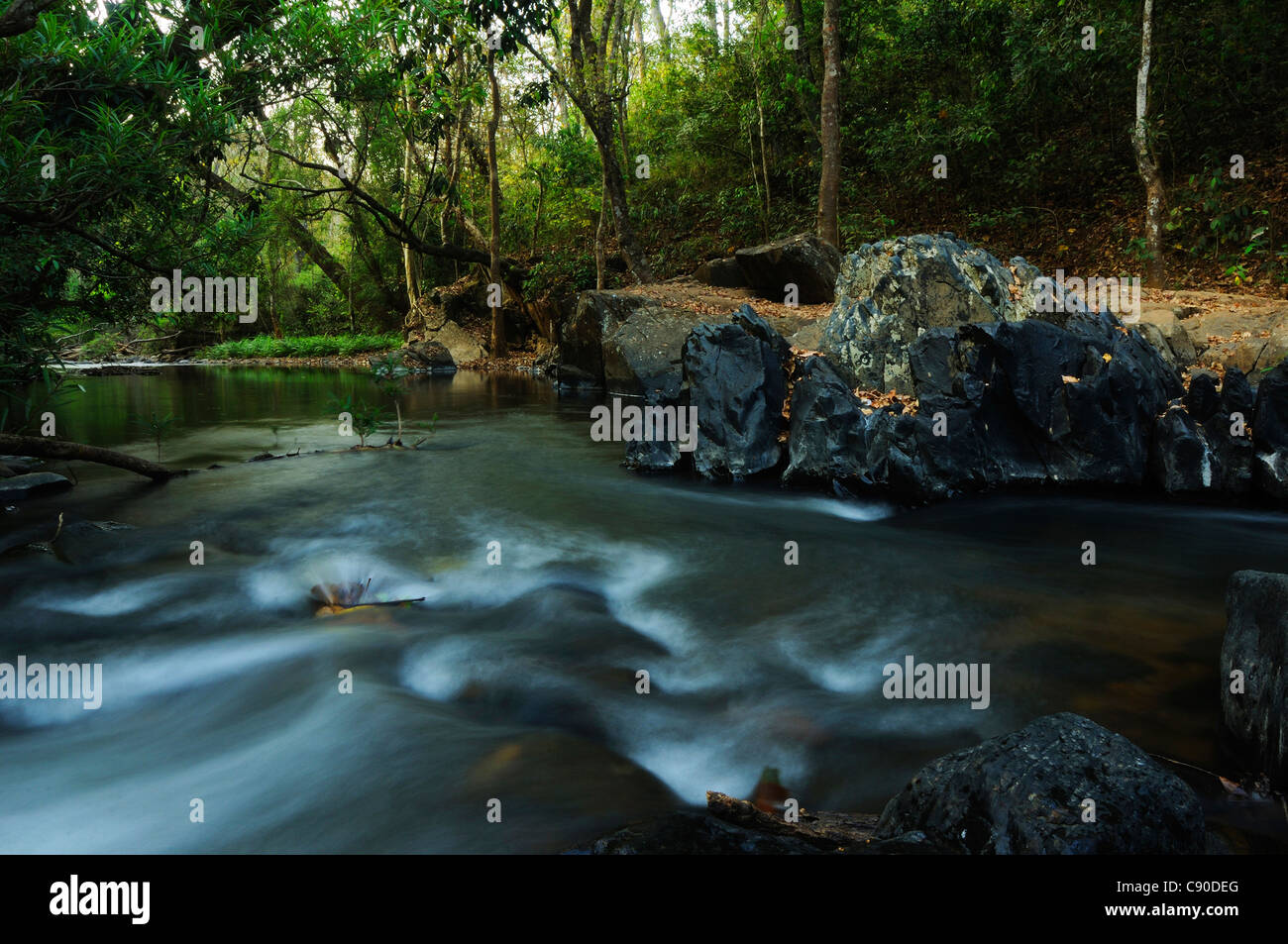 A forest stream in the Bhadra Tiger Reserve in Karnataka, India Stock ...