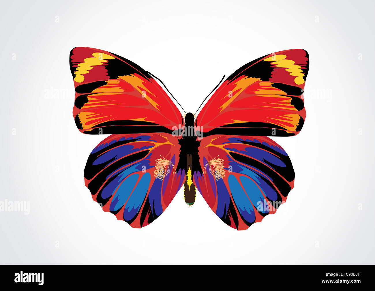 Beautiful Brightly multicolored Butterfly Stock Photo - Alamy