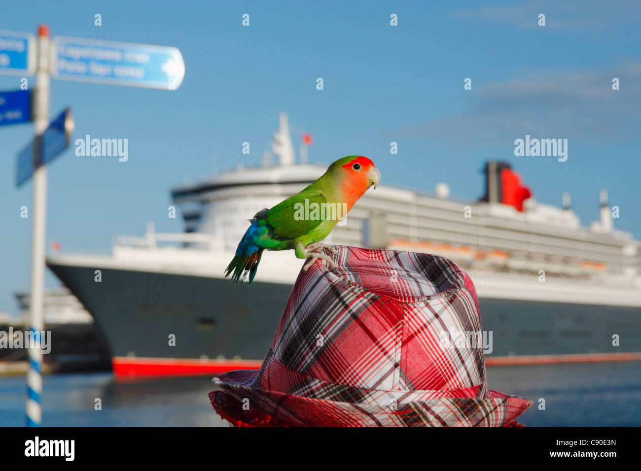 Man with pet parrot perched on hat watching Queen Mary 2 cruise ship ...