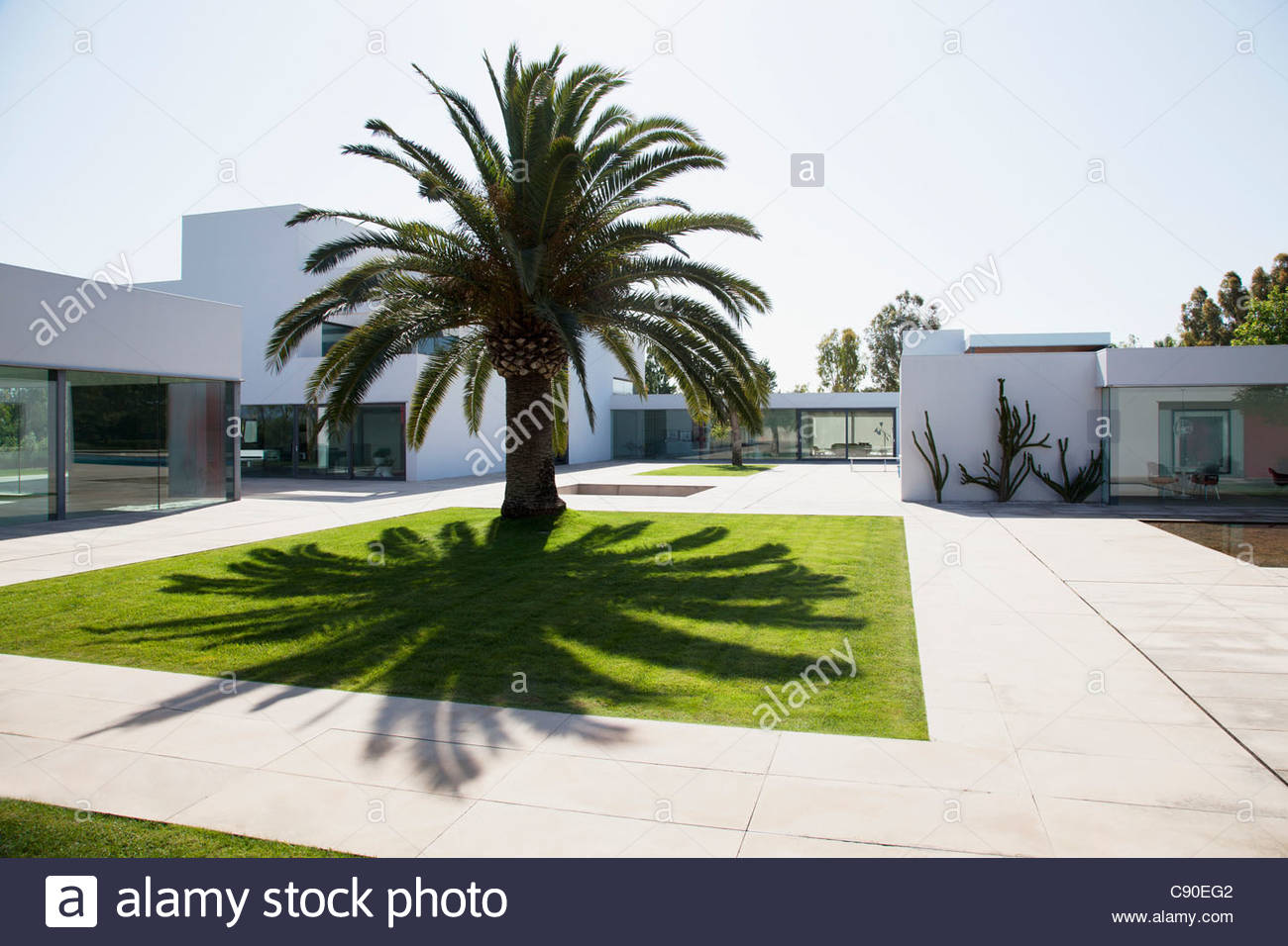 Courtyard With Palm Tree Stock Photos & Courtyard With Palm Tree Stock ...