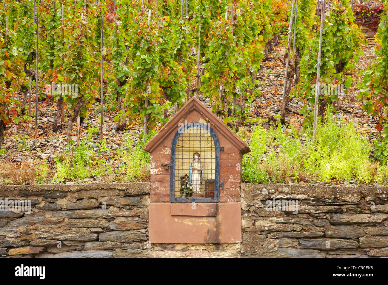 Holy Mary at vineyard at Mayschoss, Ahr valley, Ahr, Eifel, Rhineland ...