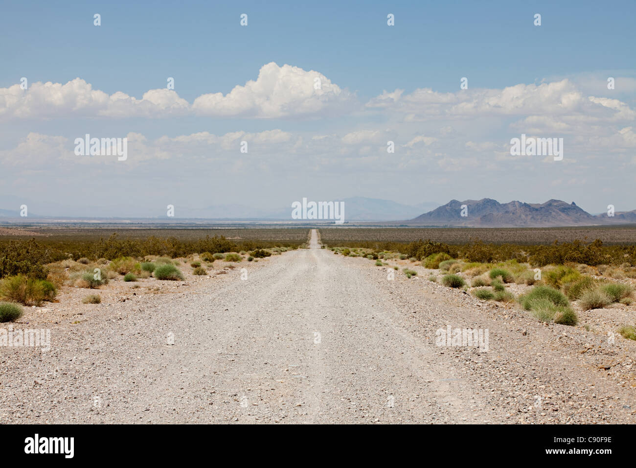 Road off Nevada State Highway 160, USA Stock Photo - Alamy