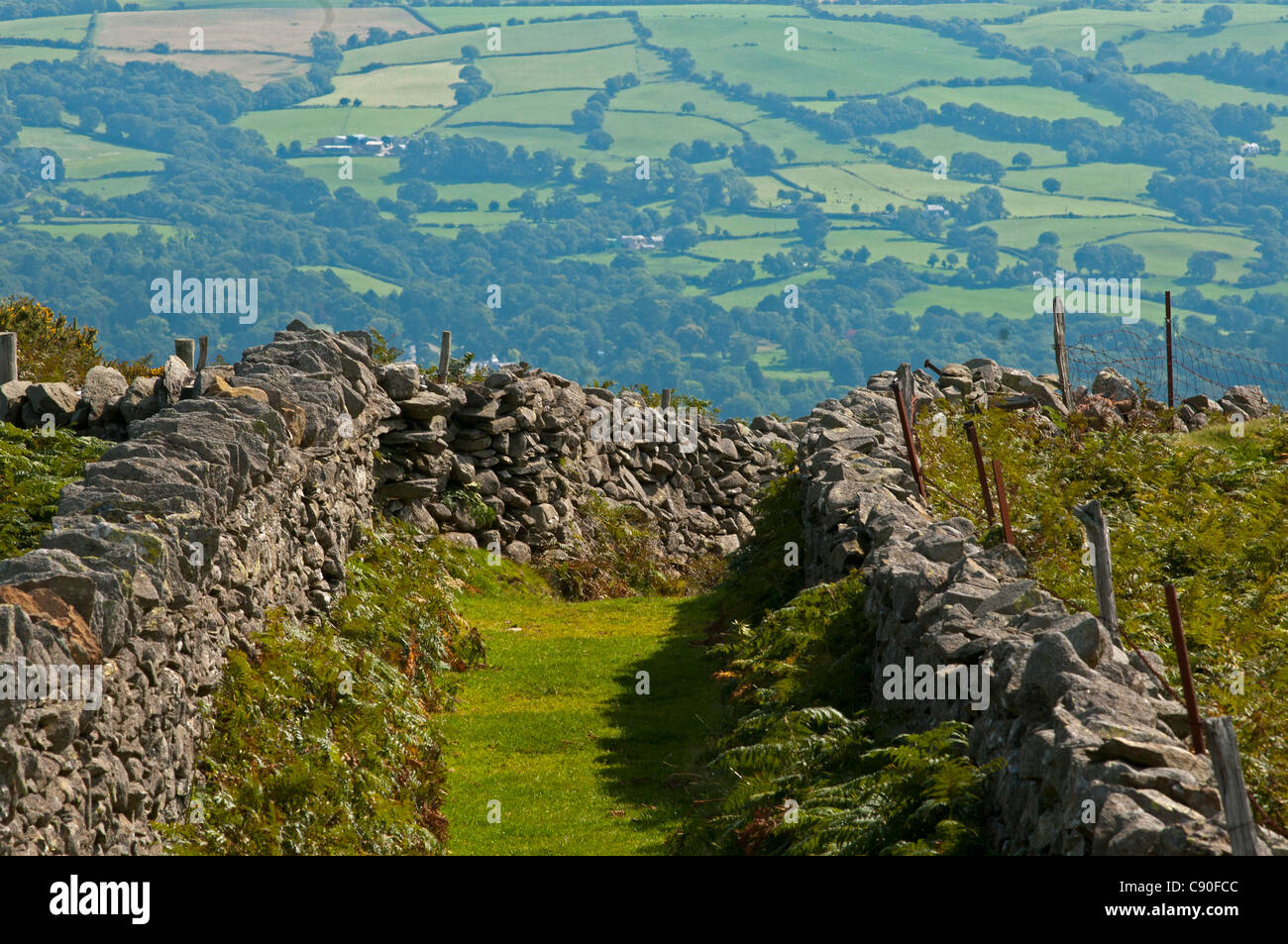 Stone walls above Rowen, Snowdonia National Park, Wales, UK Stock Photo ...
