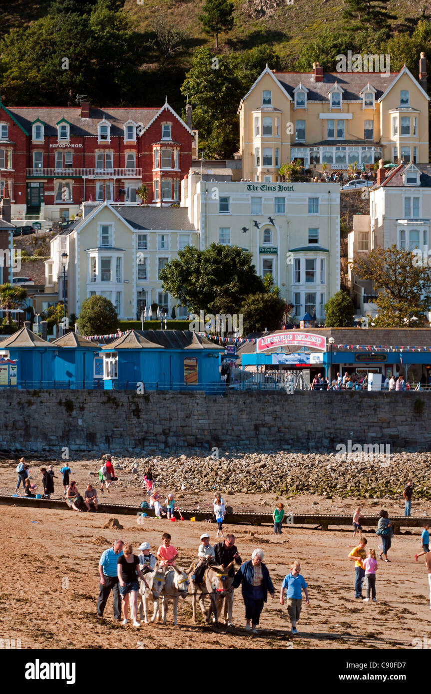 Beach Donkey Rides High Resolution Stock Photography and Images - Alamy