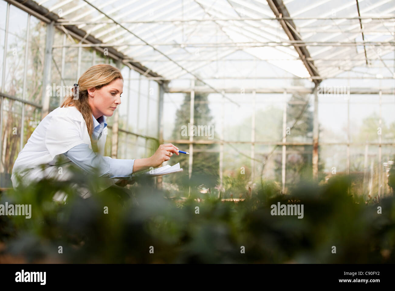 Woman inspecting plants in nursery Stock Photo - Alamy