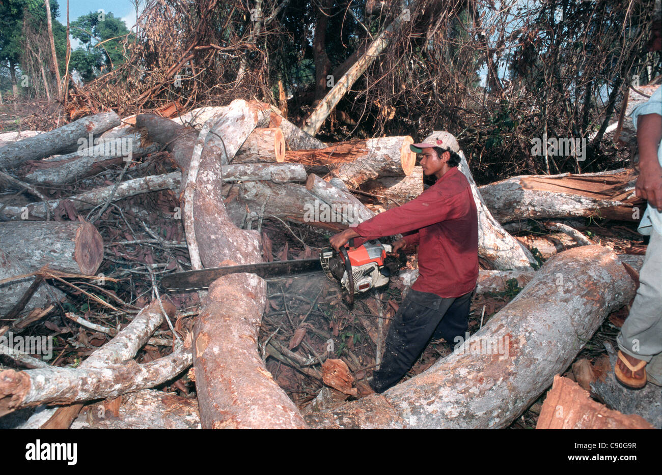 Global Witness (NGO) try to prevent illegal logging in Kompong Thom ...