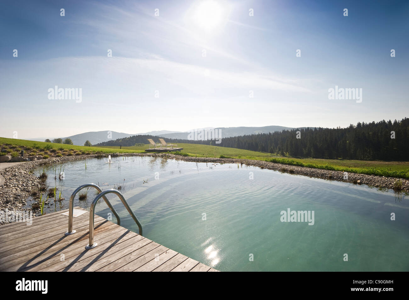 Swimming pool of the Halde hotel in the sunlight, Schauinsland, Black ...