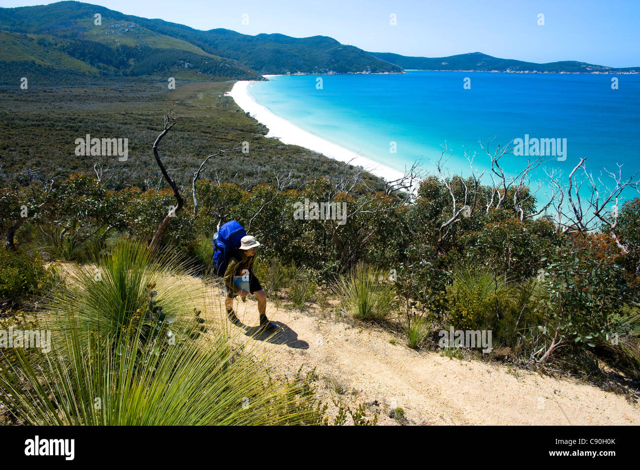 Hiker above Waterloo Bay, Wilsons Promontory National Park, Victoria ...
