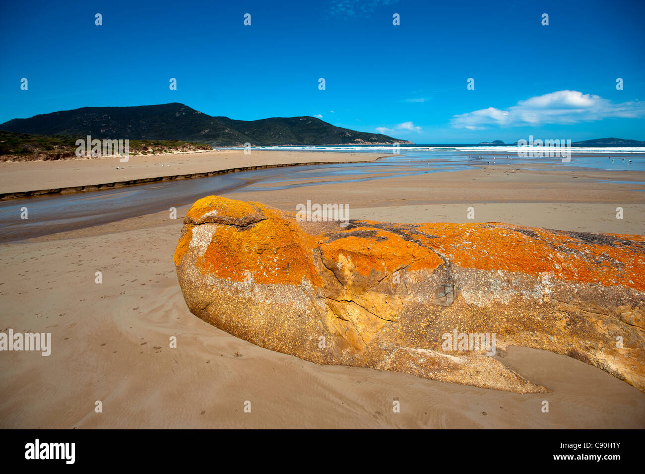 Oberon Bay, Wilsons Promontory National Park, Victoria, Australia Stock ...