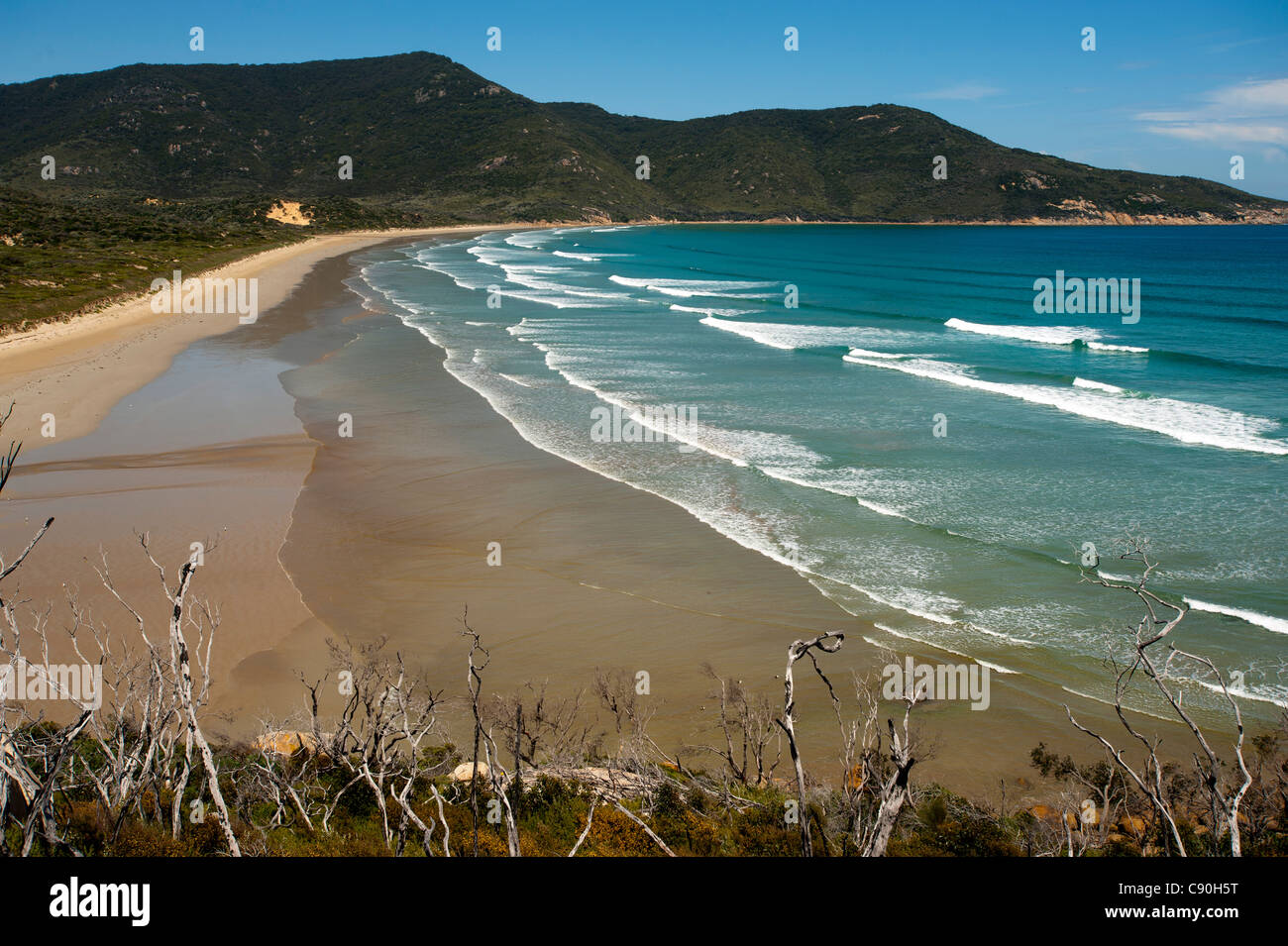 Oberon Bay, Wilsons Promontory National Park, Victoria, Australia Stock ...
