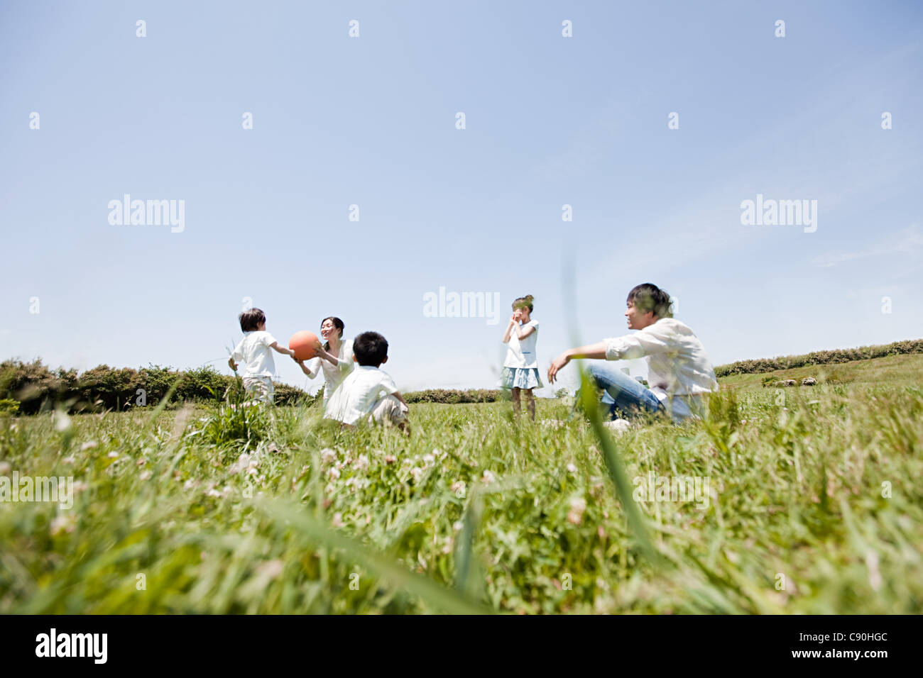 Family with three children in field Stock Photo - Alamy