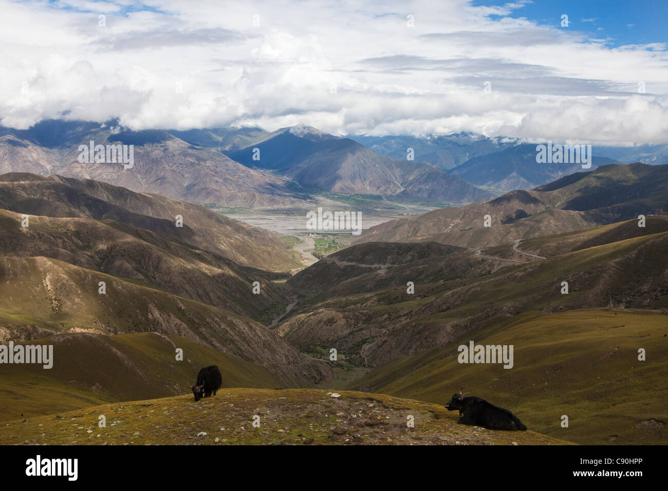 Yaks in the Transhimalaya Mountains near Lhasa, Tibet Autonomous Region ...