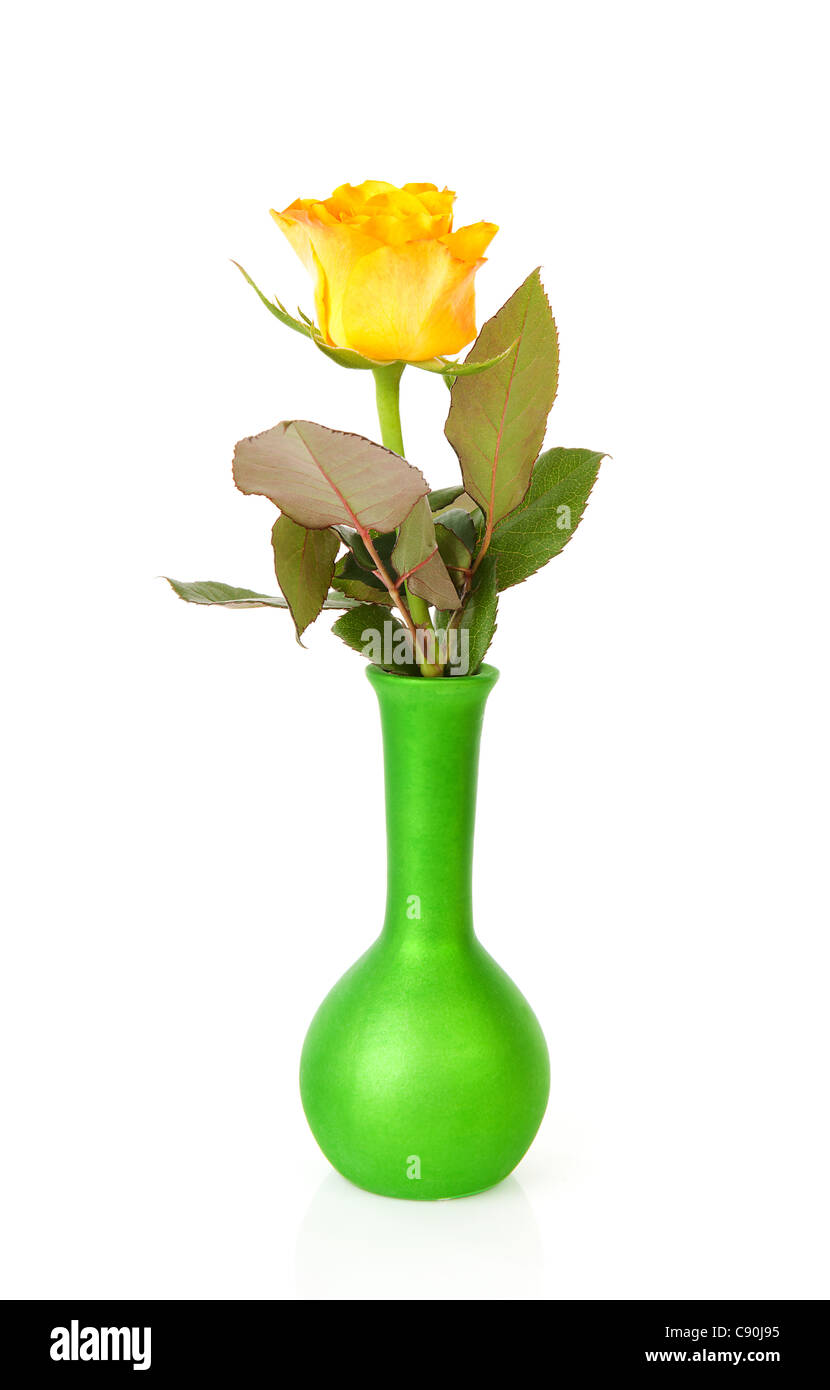 One yellow rose in green vase over white background Stock Photo - Alamy