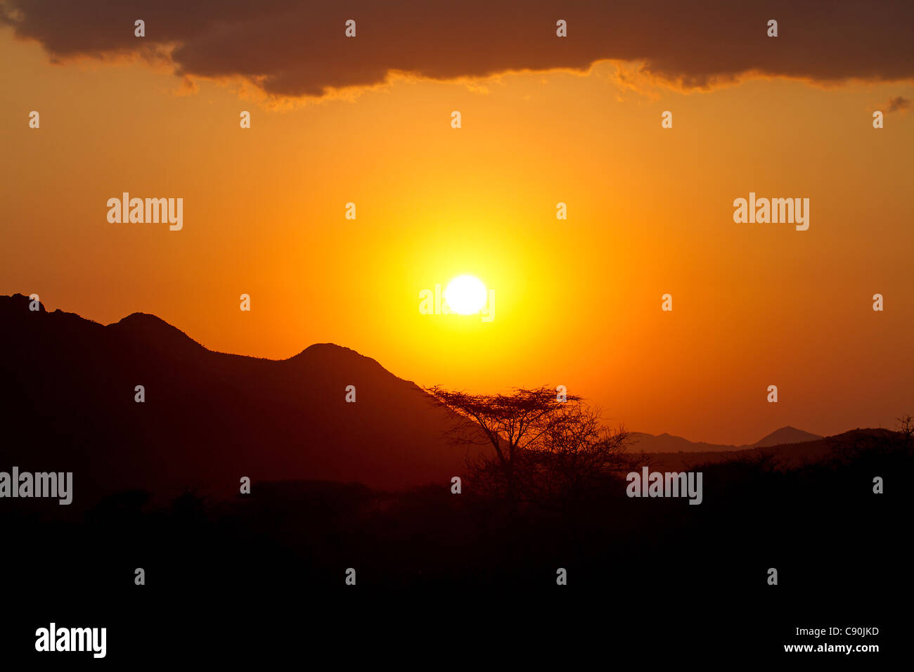 Beautiful orange sunset in Africa with shades of baobab trees Stock ...