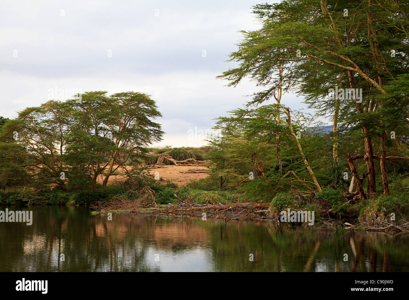 Kenyan nature hi-res stock photography and images - Alamy