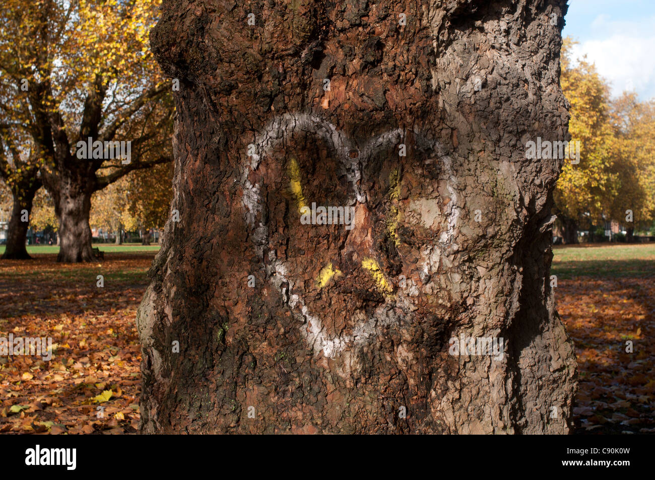 Love heart drawn on to a tree with chalk in park in autumn Stock Photo ...