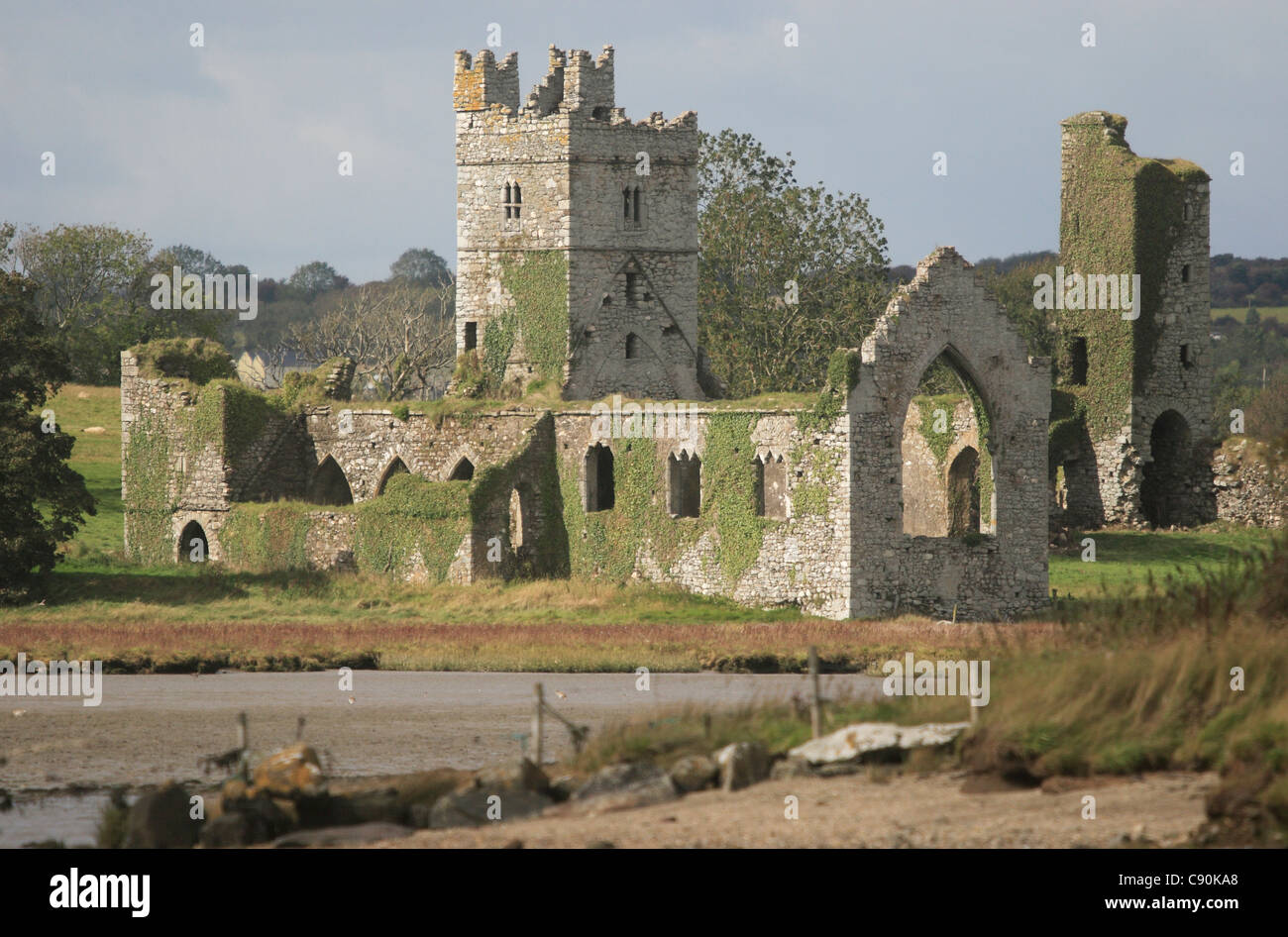 Clonmines Ruin, County Wexford, Ireland Stock Photo - Alamy