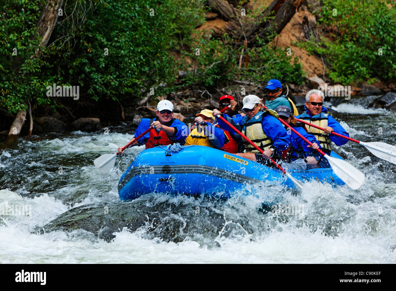 Gunnison, White Water rafting am Taylor River, North America, America ...