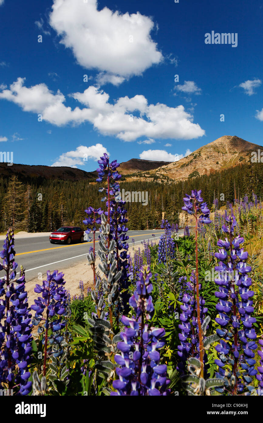 Fraser Colorado High Resolution Stock Photography and Images - Alamy