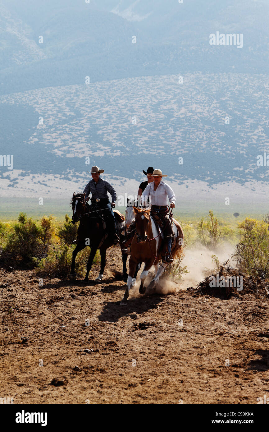Zapata Ranch is a working ranch where tourists can stay and work ...