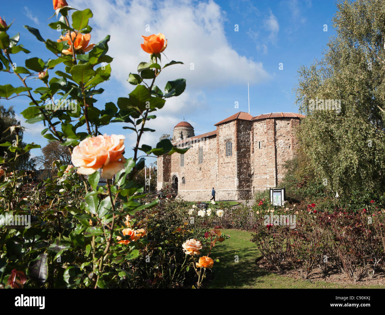 Outside colchester castle hi-res stock photography and images - Alamy