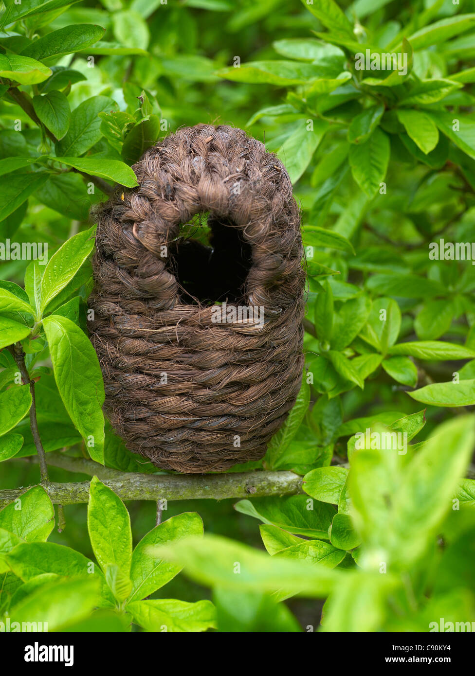 wicker garden bird roosting box Stock Photo - Alamy