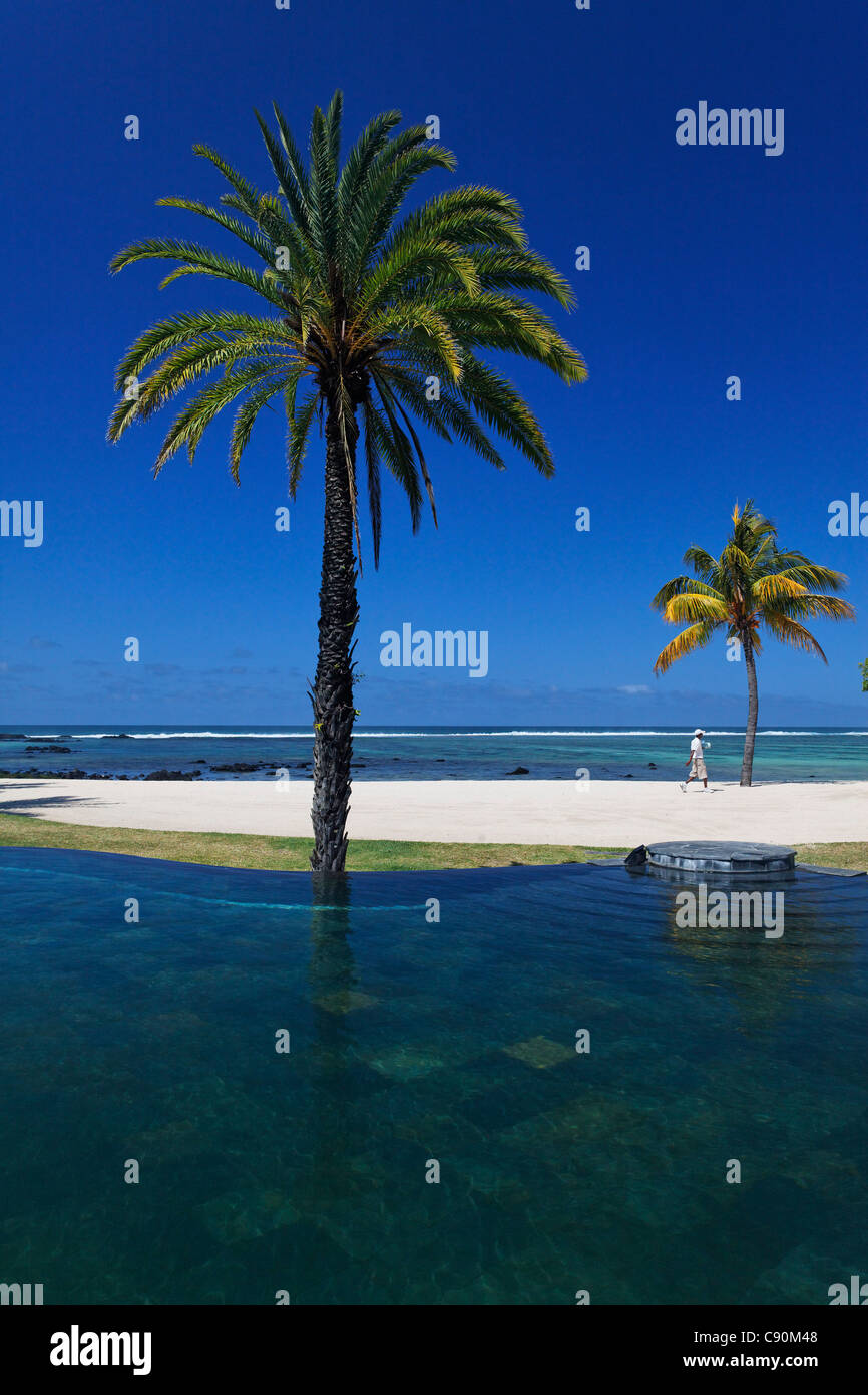 Palm trees at the pool of Shanti Maurice Resort, Souillac, Mauritius ...