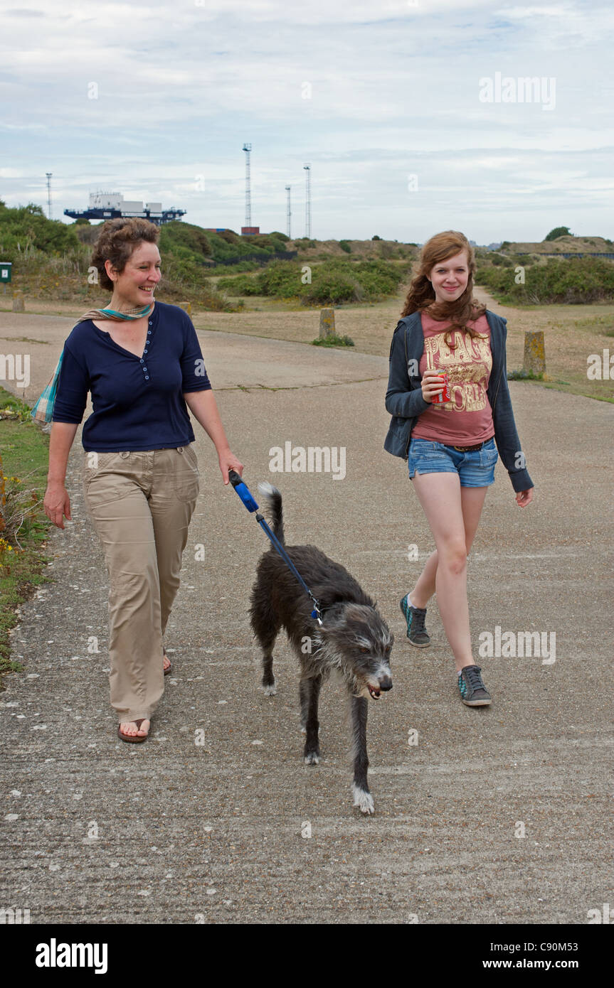 Dog walking family uk hi-res stock photography and images - Alamy