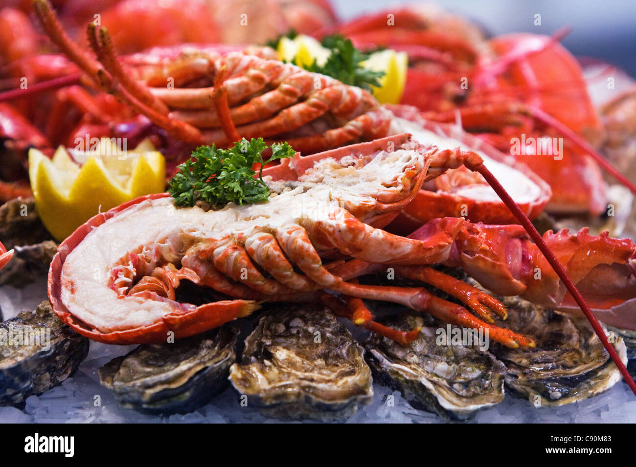 fresh seafood display in Lille France Stock Photo - Alamy