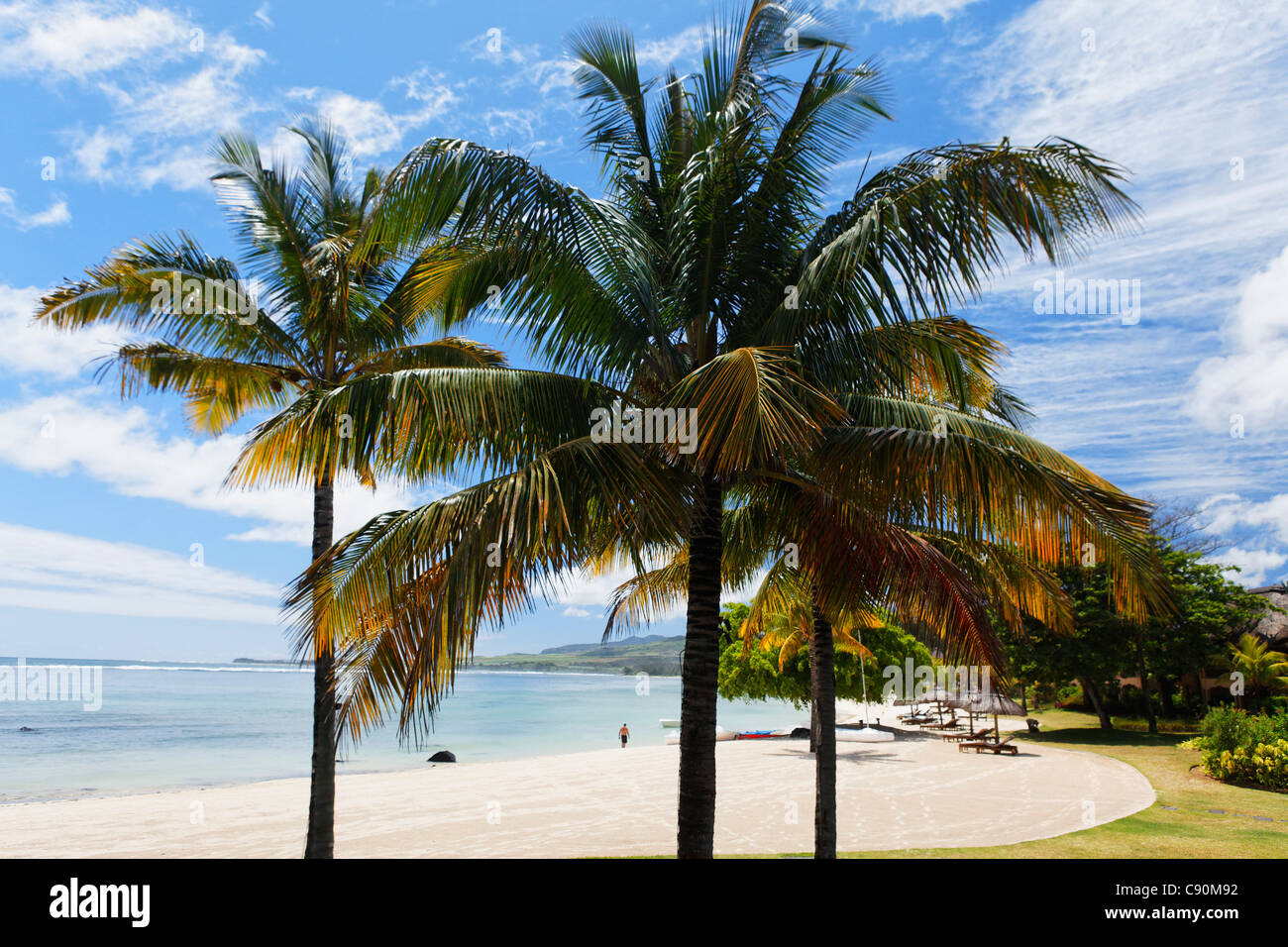 Palm trees on the beach of the Shanti Maurice Resort in the sunlight ...
