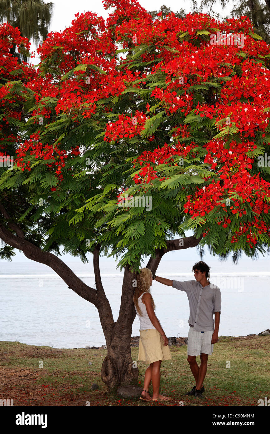 Flamboyant man hi-res stock photography and images - Alamy