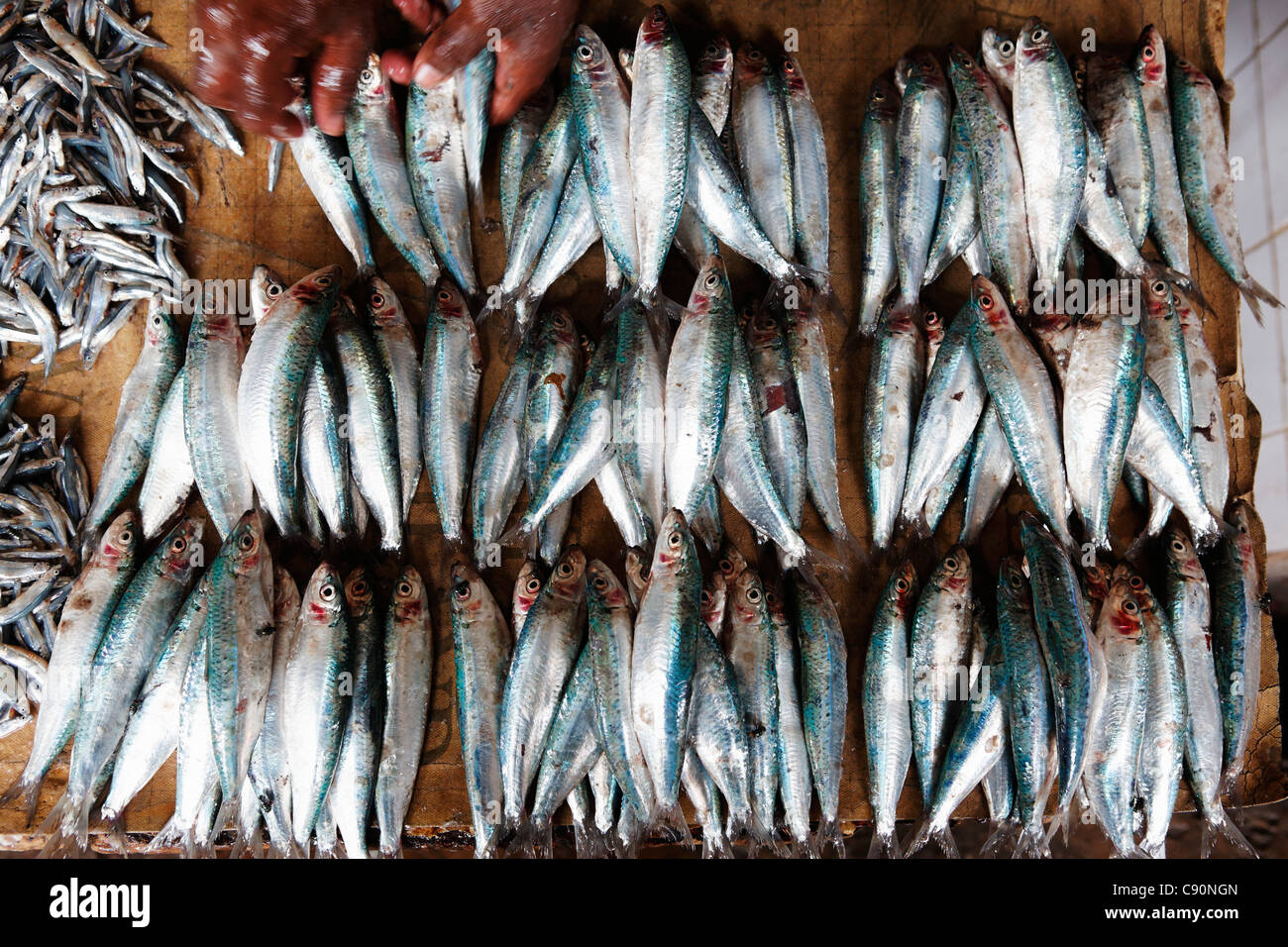 Fish monger with fishes at Darajani Market, Stonetown, Zanzibar City ...