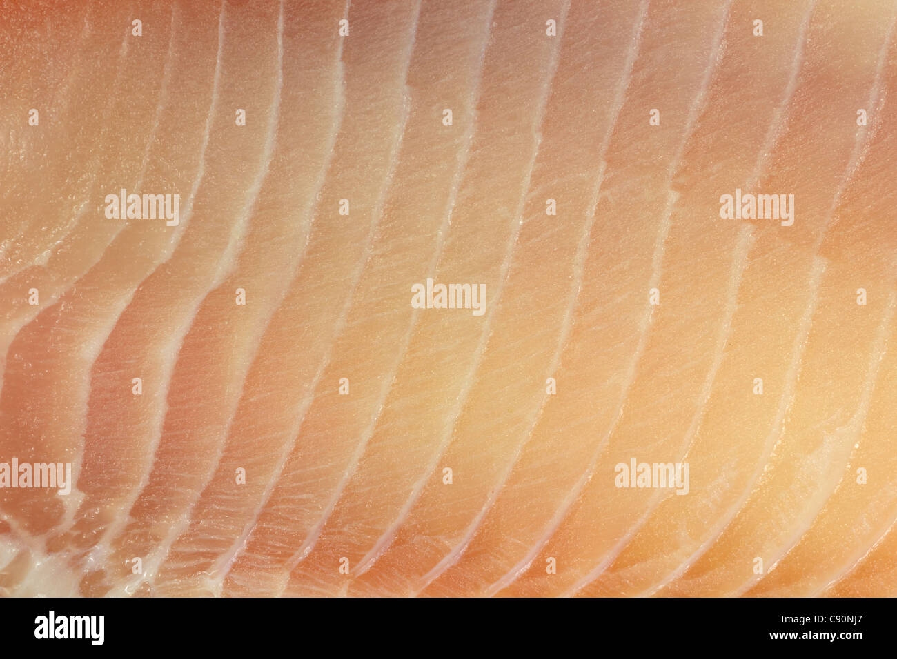 Close view tilapia fillet Stock Photo - Alamy