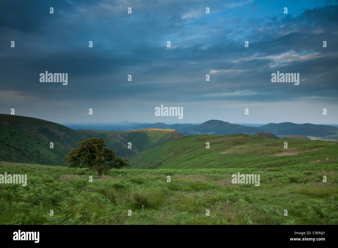 Evening, Shropshire Hills Stock Photo - Alamy