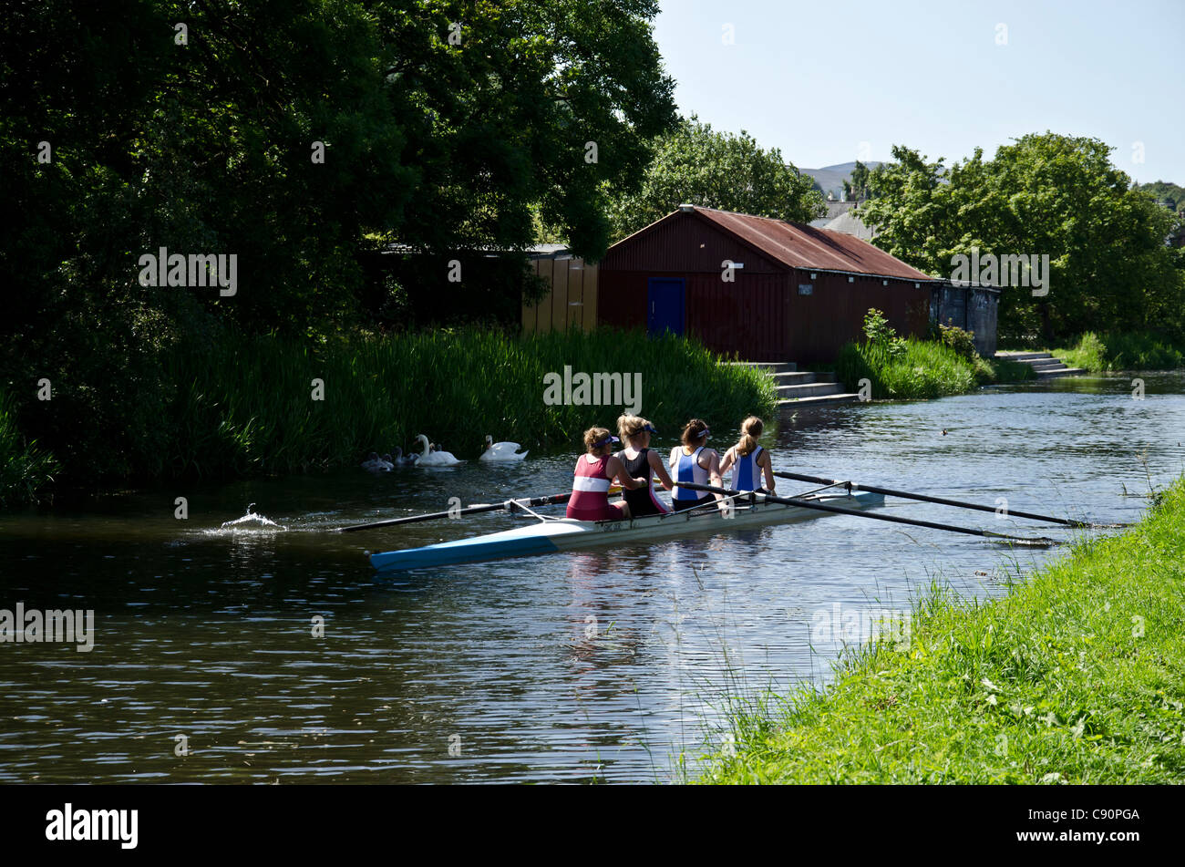 Female foursome hi-res stock photography and images - Alamy