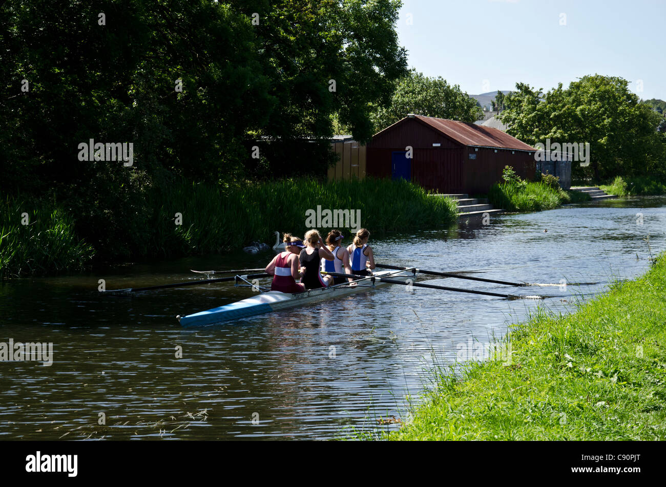 Female rowing team on the Union Canal in Central Edinburgh, Scotland ...