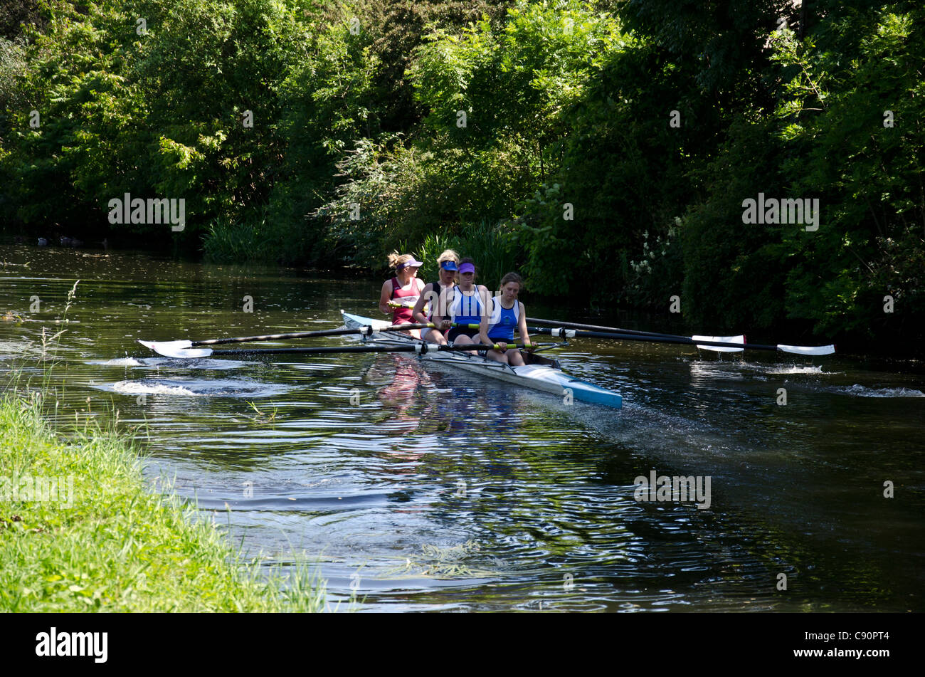 Female rowing team on the Union Canal in Central Edinburgh, Scotland ...