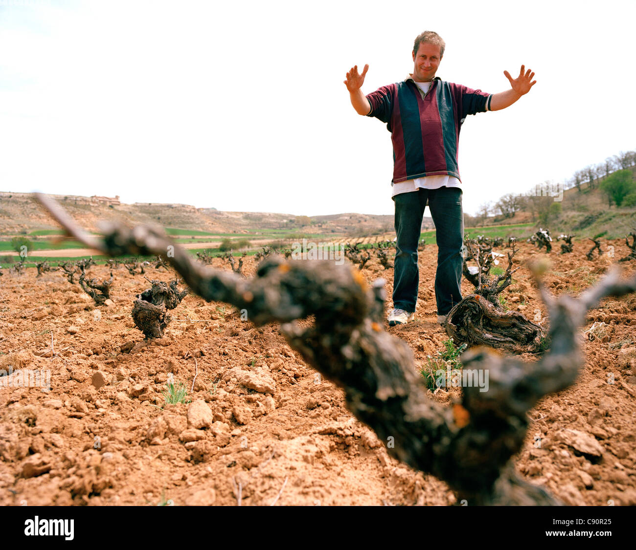 Enologist hi-res stock photography and images - Alamy