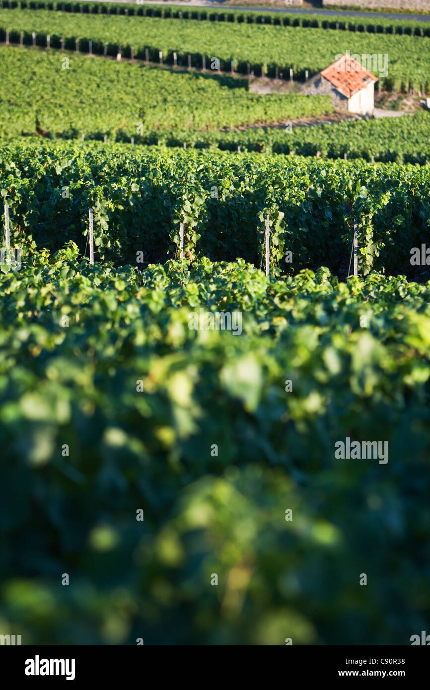 La route des vins alsace hi-res stock photography and images - Alamy