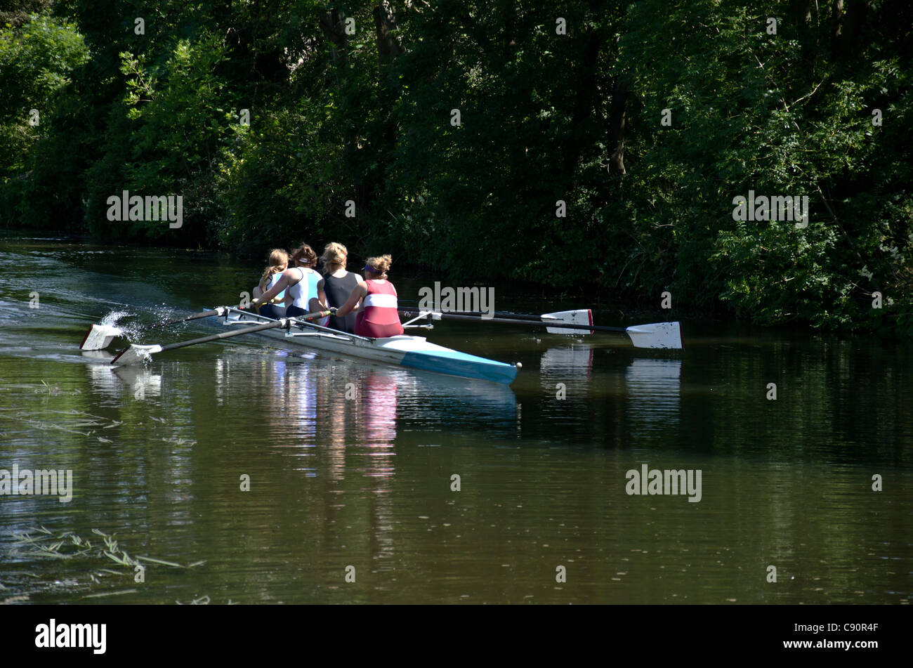 Female rowing team on the Union Canal in Central Edinburgh, Scotland ...