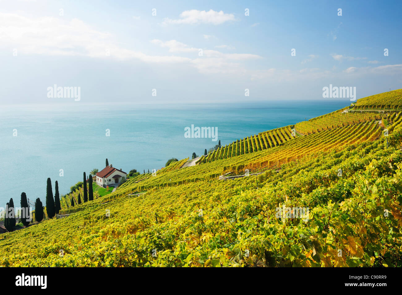 Vineyard and villa hi-res stock photography and images - Alamy